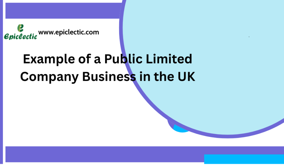 Example of a Public Limited Company Business in the UK - Epiclectic